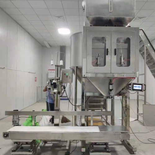 stainless steel viscous sticky powder lifting weighing packing machine