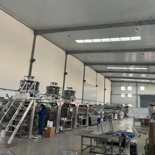 stainless steel viscous sticky powder lifting weighing packing machine