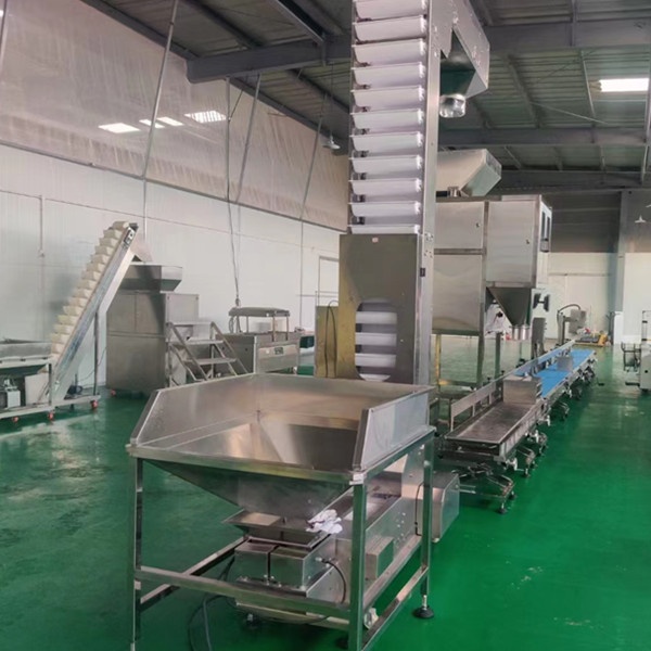 Z type snack nut grain elevator